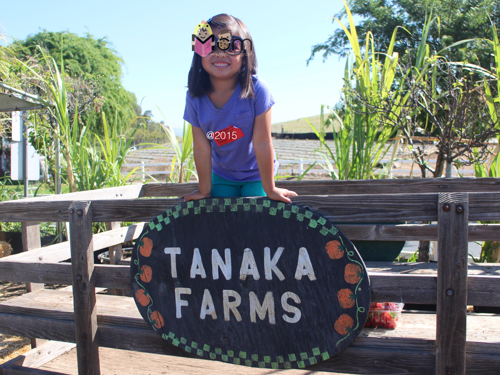A Trip to Tanaka Farms: A My Mommyology Discovery